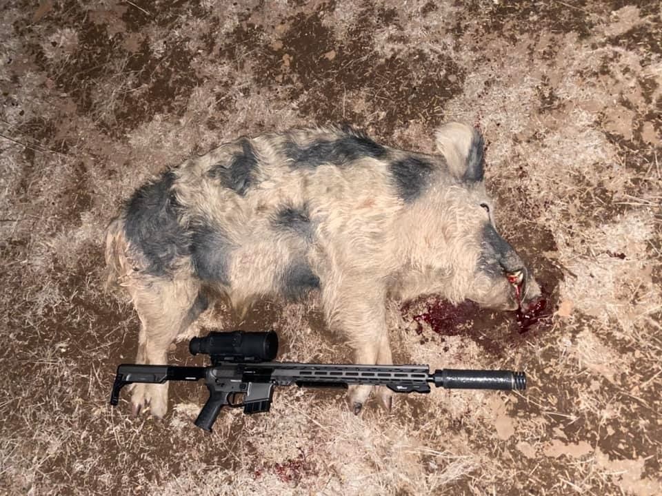 TEXAS HOG HUNTS – AK Forever Wild Outfitters