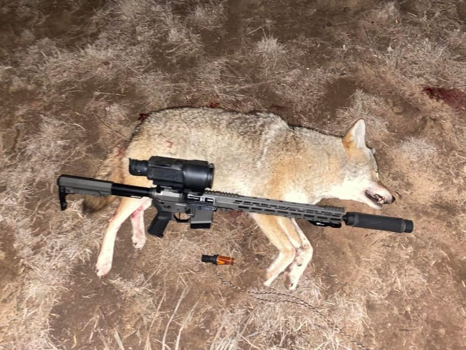 TEXAS HOG HUNTS – AK Forever Wild Outfitters